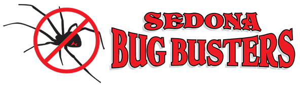 Contact Sedona Bug Busters - Your Pest Control Specialists